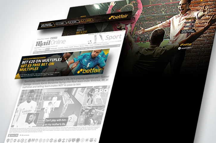 Website Advertising Skins